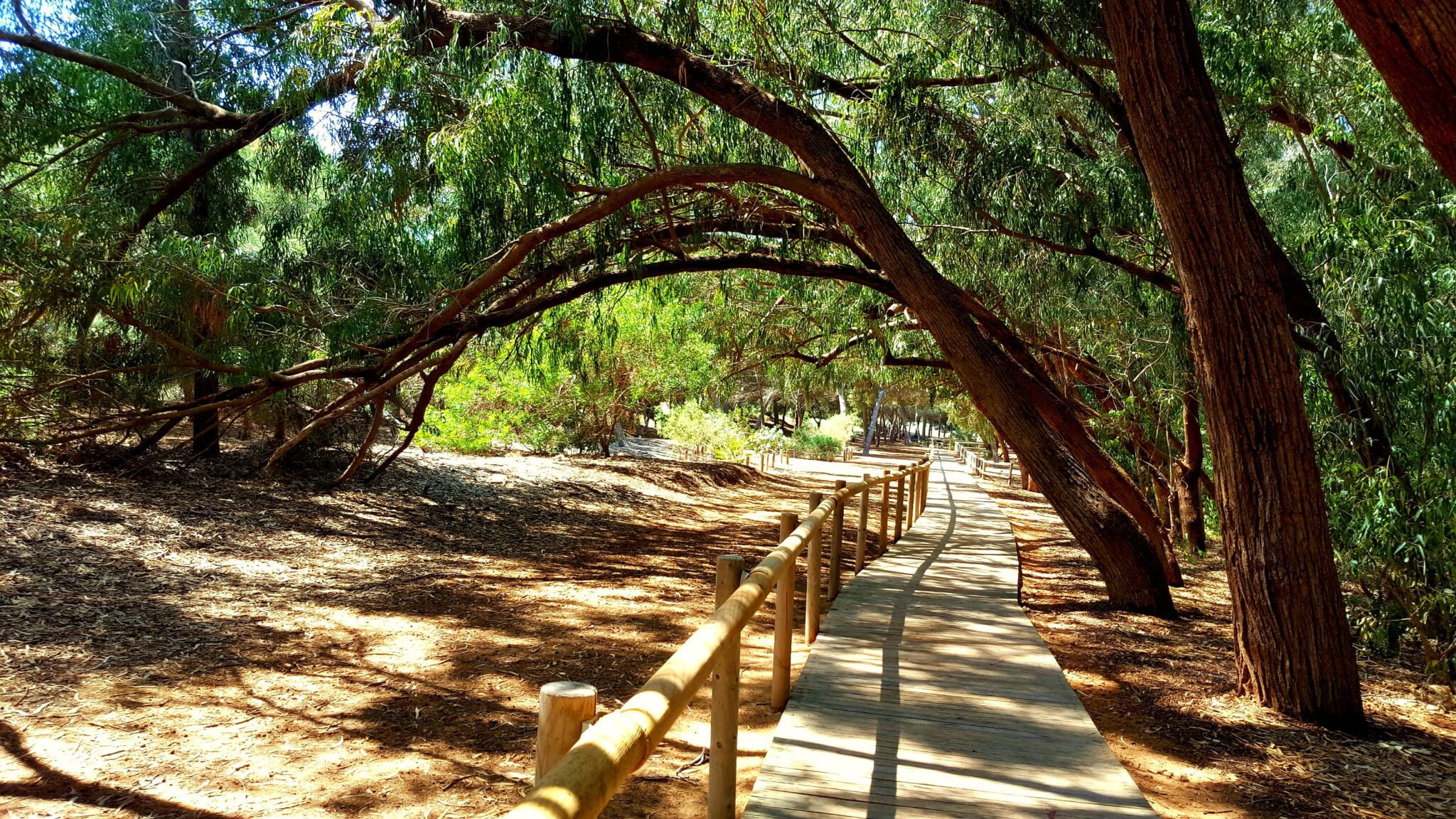 Alicante Pink Lake in Torrevieja || Everything you need to know.